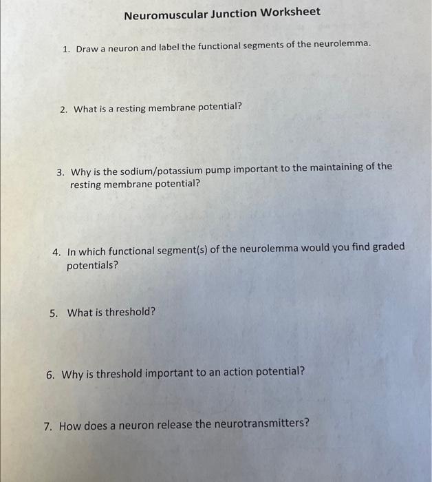 Solved Neuromuscular Junction Worksheet 1. Draw a neuron and | Chegg.com