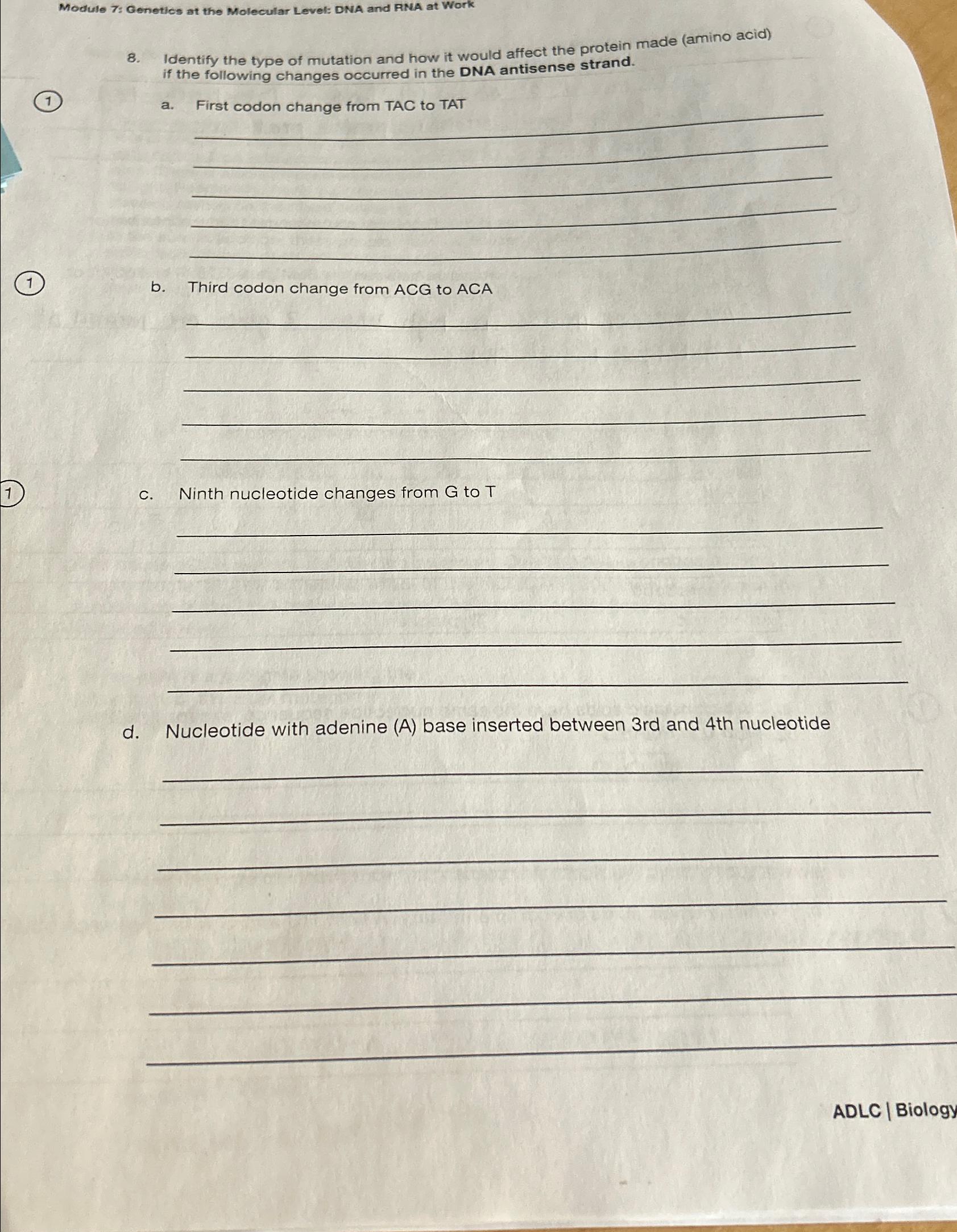 Solved Module 7: Genetics at the Molecular Level: DNA and | Chegg.com