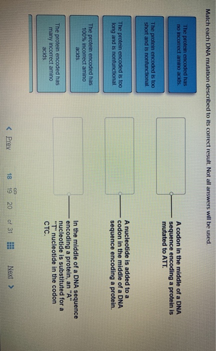 Solved Match each DNA mutation described to its correct | Chegg.com