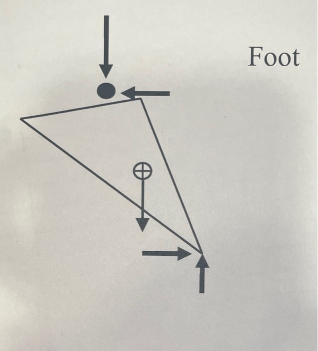 During the push off phase of running, an athlete | Chegg.com