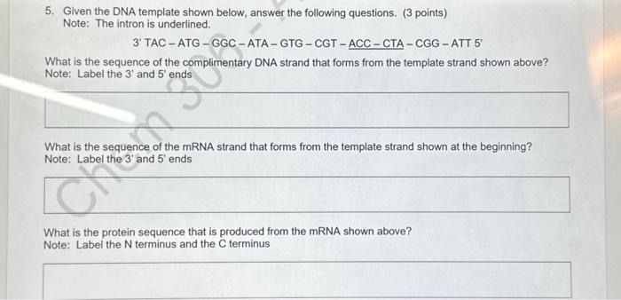 Solved 5. Given the DNA template shown below, answer the | Chegg.com