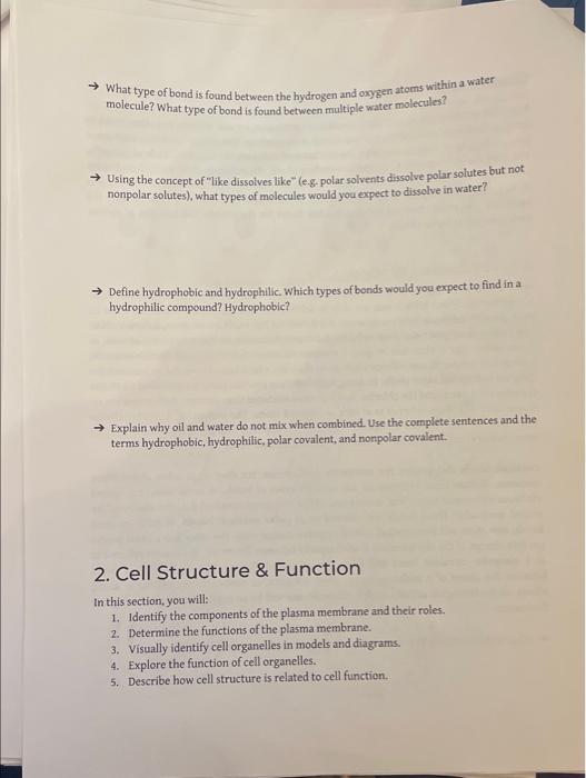 Solved Materials: (3) potato cores, (3) 50 mL beakers filled | Chegg.com