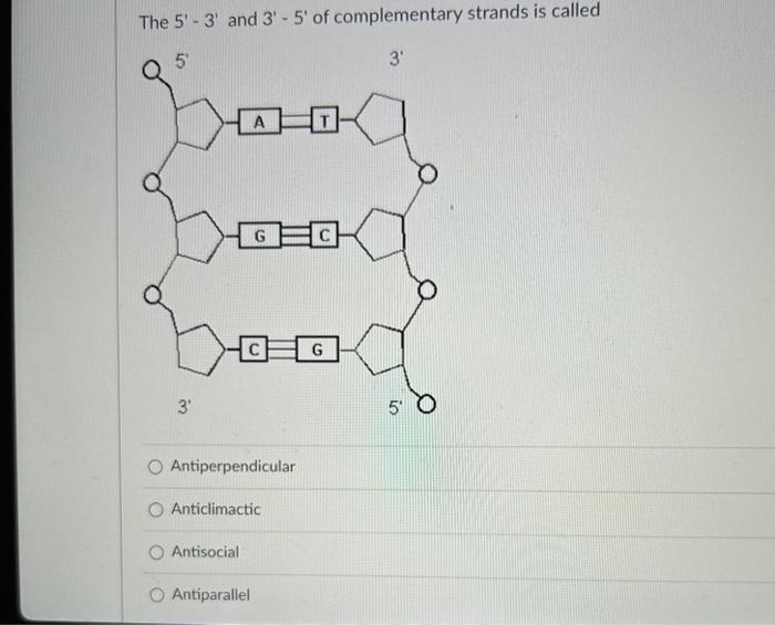 Solved The ( 5^{prime}-3^{prime} ) and ( 3^{prime}-5^{prime} | Chegg.com