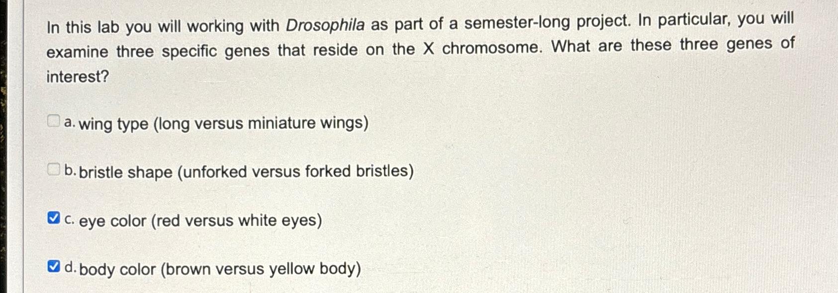 Solved In this lab you will working with Drosophila as part | Chegg.com