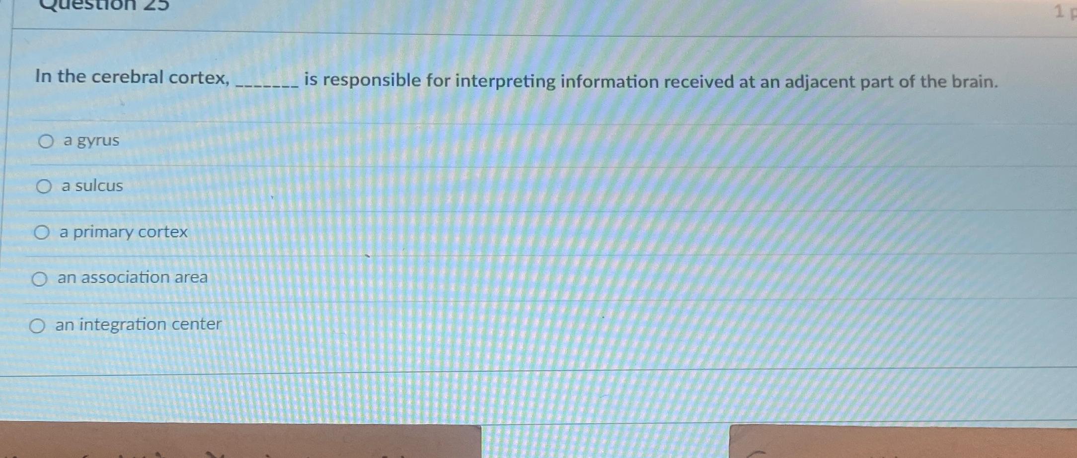 Solved In the cerebral cortex, is responsible for | Chegg.com