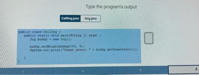 Solved Type the program's output public clasg CaliDog \{: | Chegg.com