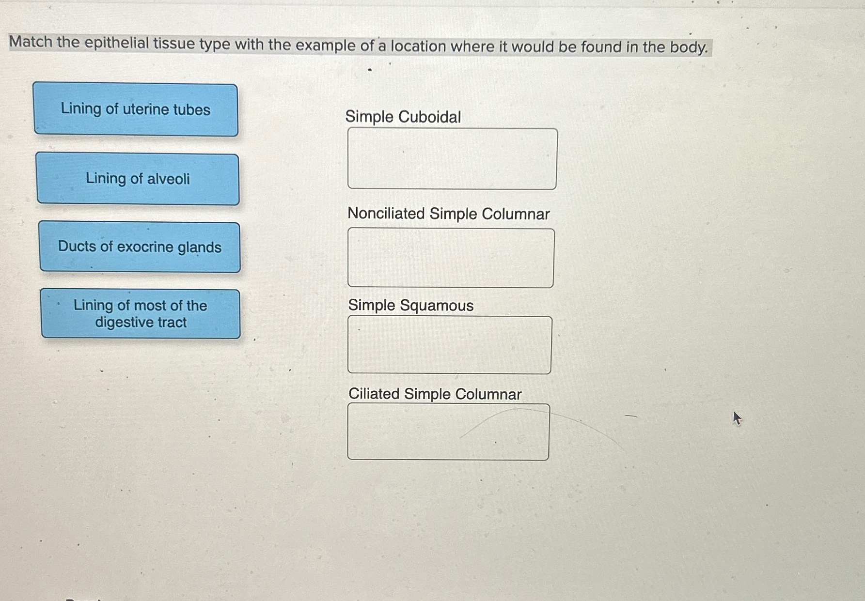 Solved Match the epithelial tissue type with the example of | Chegg.com