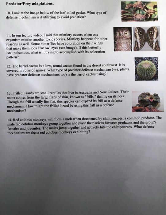 Solved Predator/Prey adaptations. 10. Look at the image | Chegg.com