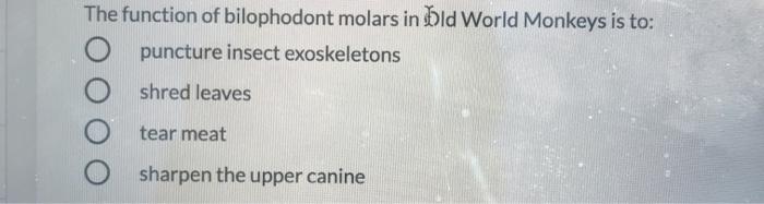 Solved The function of bilophodont molars in bld World | Chegg.com