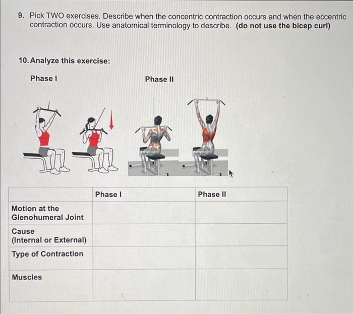 Solved 9. Pick TWO exercises. Describe when the concentric | Chegg.com
