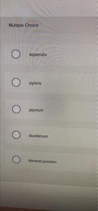 Solved stive Which structure is highlighted? Multiple Choice | Chegg.com
