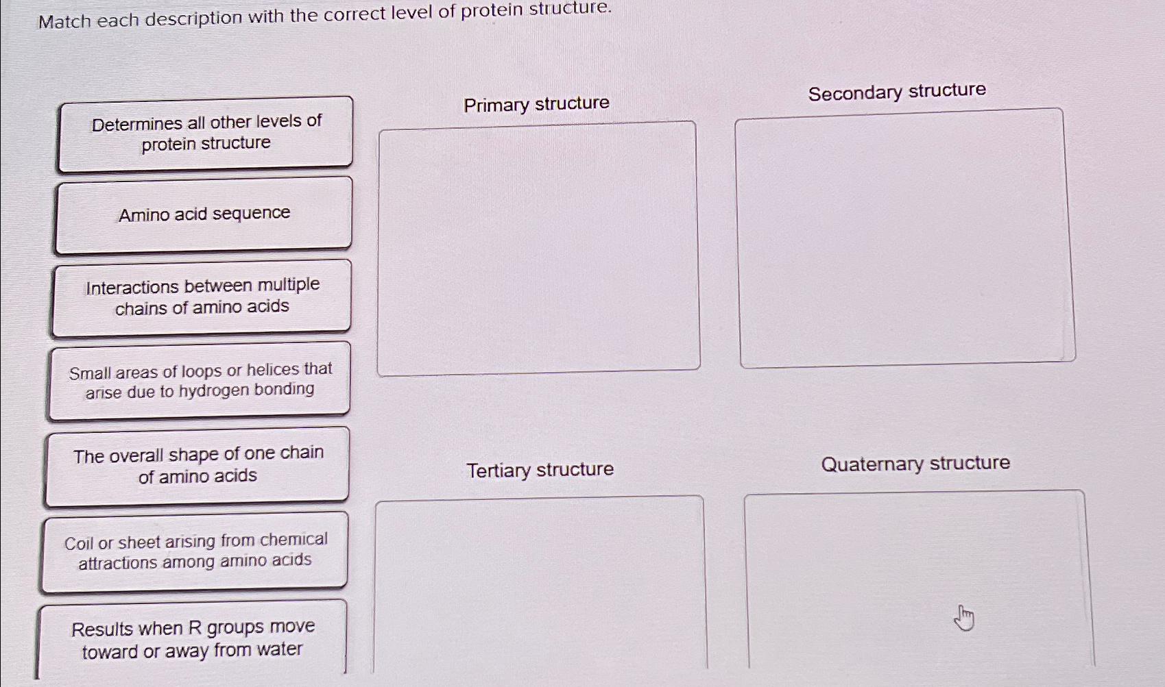 Solved Match each description with the correct level of | Chegg.com