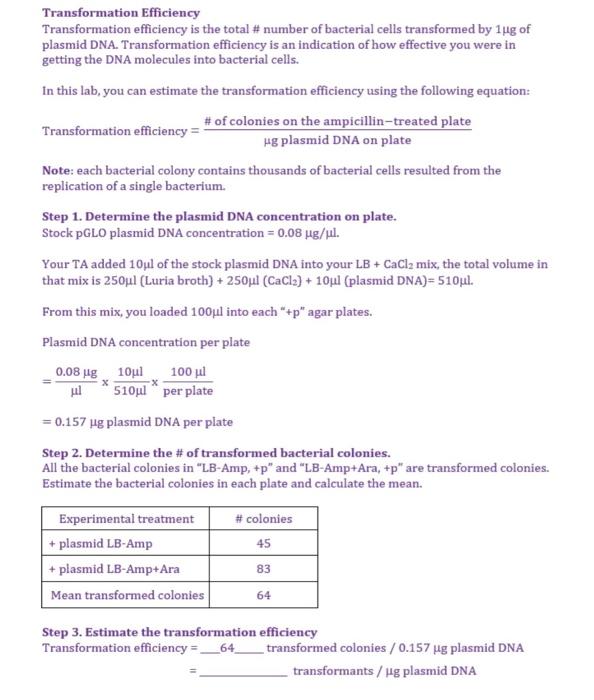 Transformation Efficiency Transformation efficiency | Chegg.com