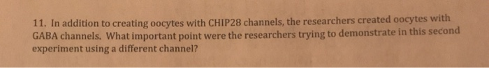Solved 11. In addition to creating oocytes with CHIP28 | Chegg.com
