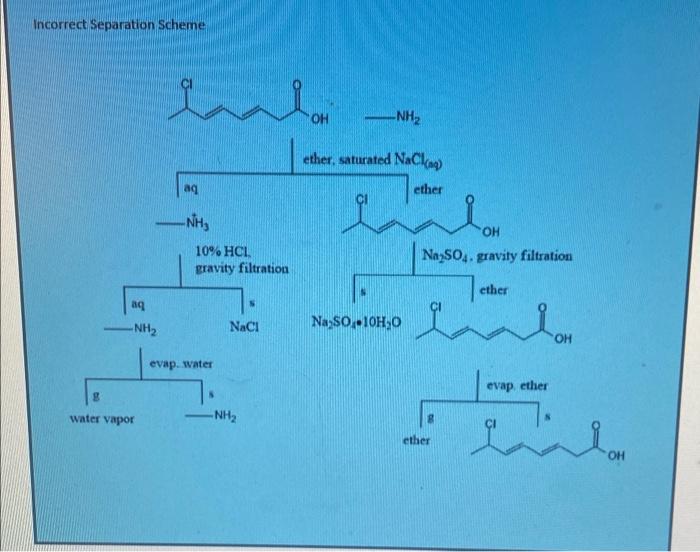 Solved Incorrect Separation Scheme OH -NH2 ether, saturated | Chegg.com
