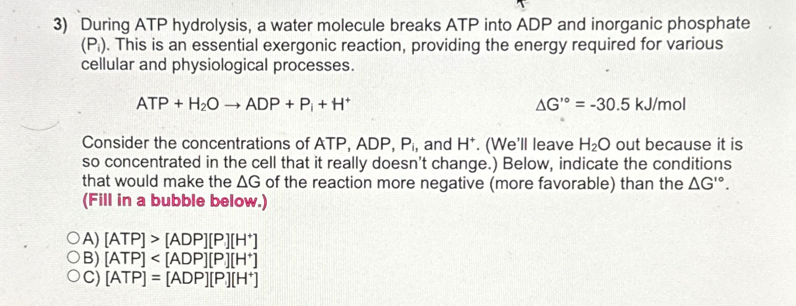 Solved During ATP hydrolysis, a water molecule breaks ATP | Chegg.com