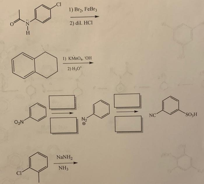 Solved 1) Br2,FeBr3 2) dil. HCl | Chegg.com
