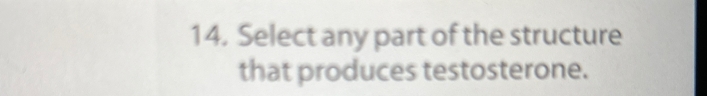 Solved Select any part of the structure that produces | Chegg.com