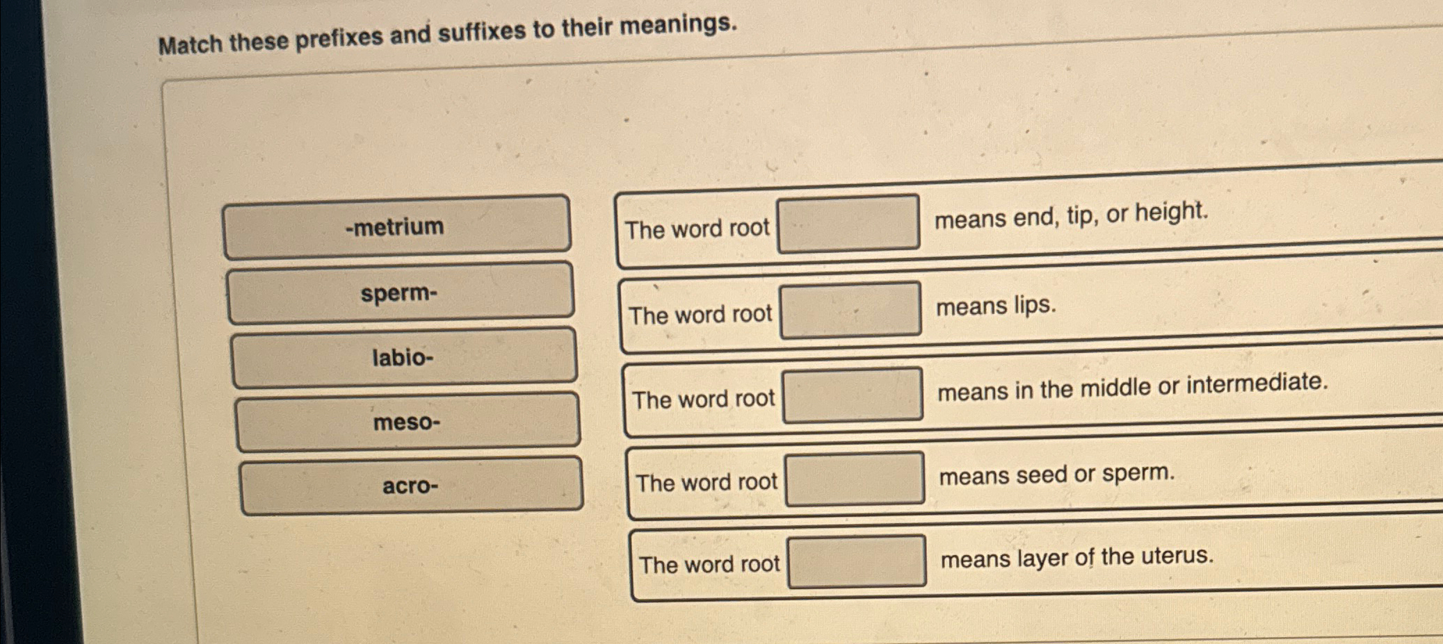 Solved Match these prefixes and suffixes to their | Chegg.com