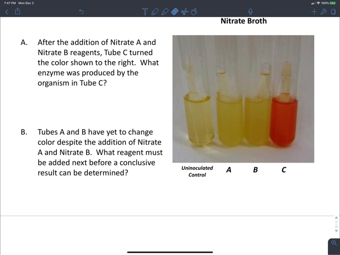 Solved 7:47 PM Mon Dec 2 - 100% +30 Nitrate Broth A. After | Chegg.com