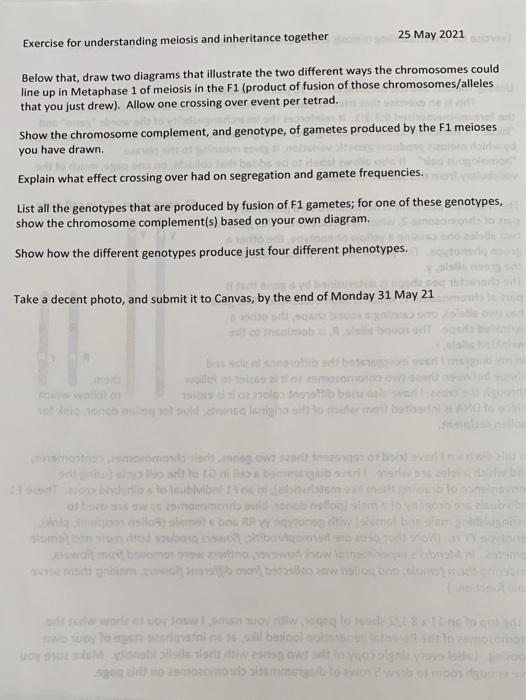 Solved Exercise for understanding melosis and inheritance | Chegg.com