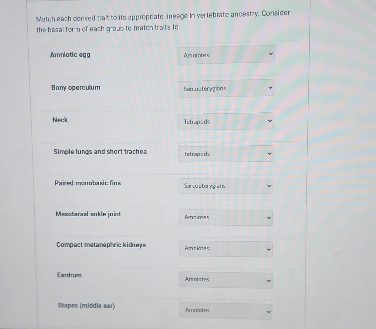 Solved Match each derived trait to its appropriate lineage | Chegg.com
