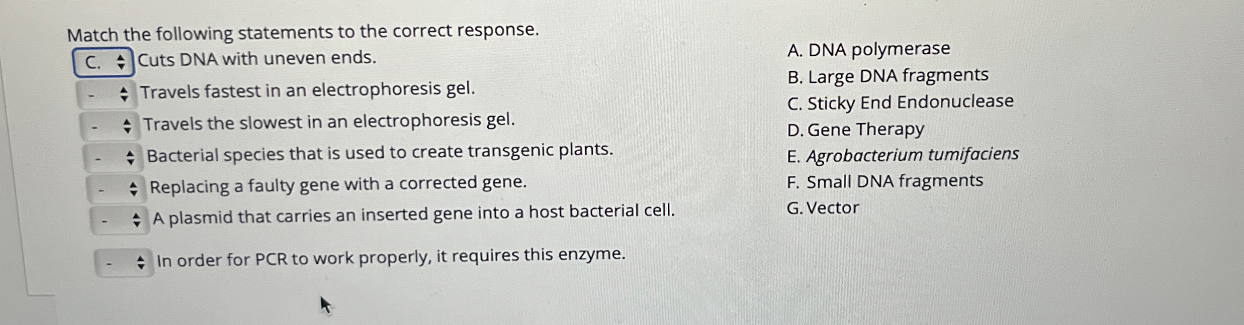 Solved Match the following statements to the correct | Chegg.com