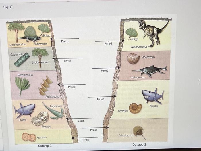 Solved Using Fig, C as reference, determine the geologic | Chegg.com