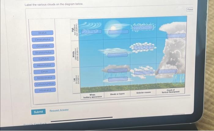 Label the various clouds on the diagram below. | Chegg.com