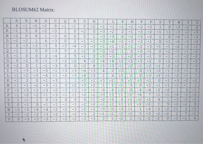 Question 1: Fill out the following dynamic | Chegg.com