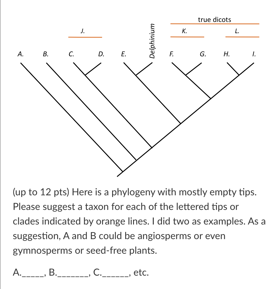 Solved (up to 12 ﻿pts) ﻿Here is a phylogeny with mostly | Chegg.com