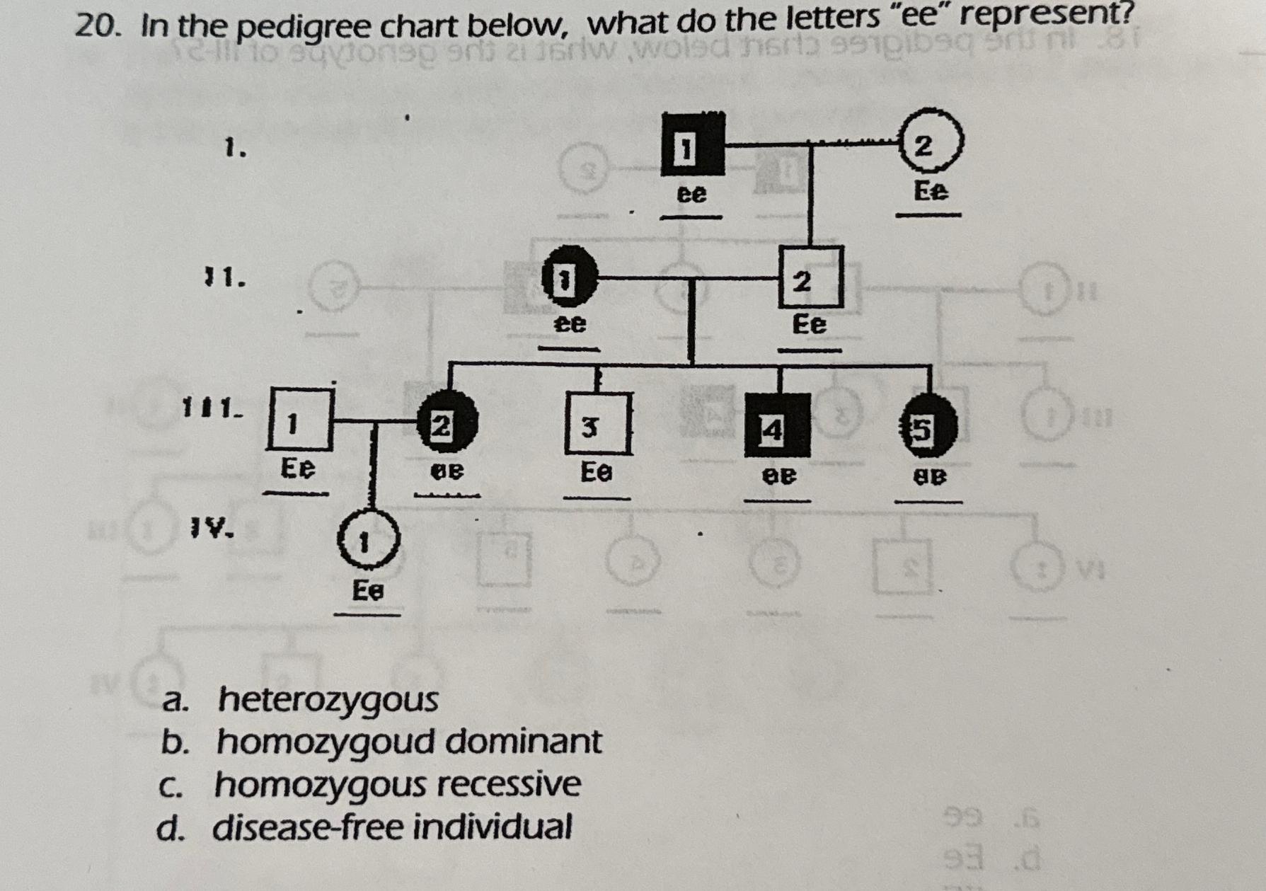 Solved In the pedigree chart below, what do the letters "ee" | Chegg.com