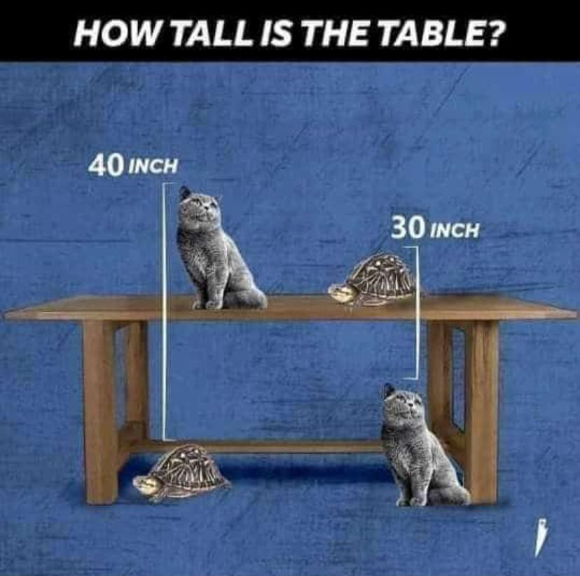 Solved HOW TALL IS THE TABLE? 40 INCH 30 INCH | Chegg.com