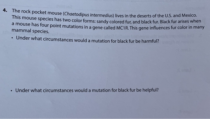 Solved 4. The rock pocket mouse (Chaetodipus intermedius) | Chegg.com