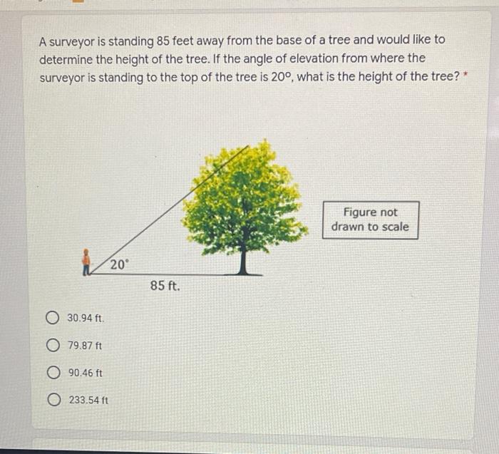 Solved A surveyor is standing 85 feet away from the base of | Chegg.com