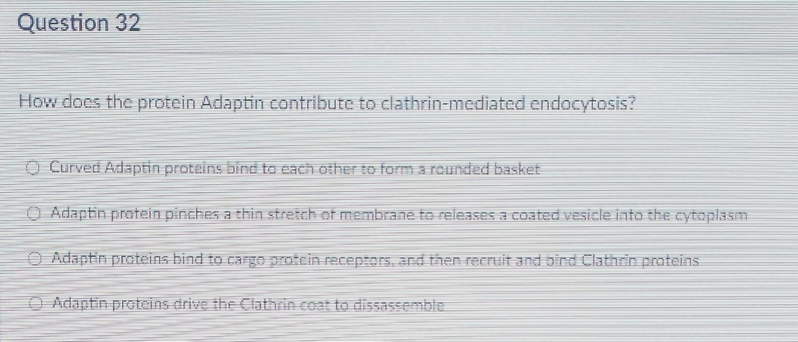 Solved Question 32 How does the protein Adaptin contribute | Chegg.com