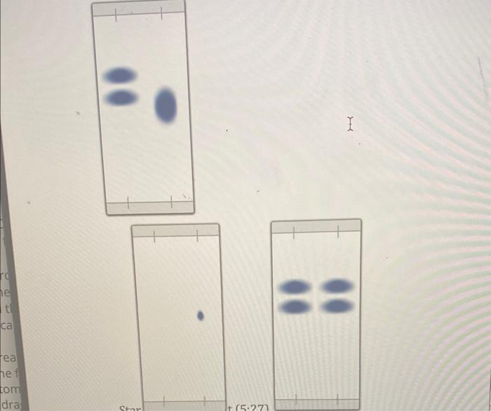 Solved rf value of the spots what are the rf value of the | Chegg.com