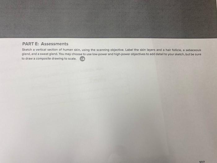 Solved PARTE: Assessments Sketch a vertical section of human | Chegg.com
