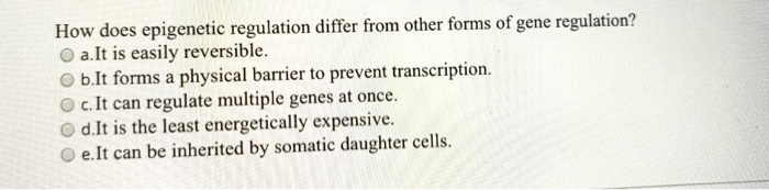 Solved How does epigenetic regulation differ from other | Chegg.com
