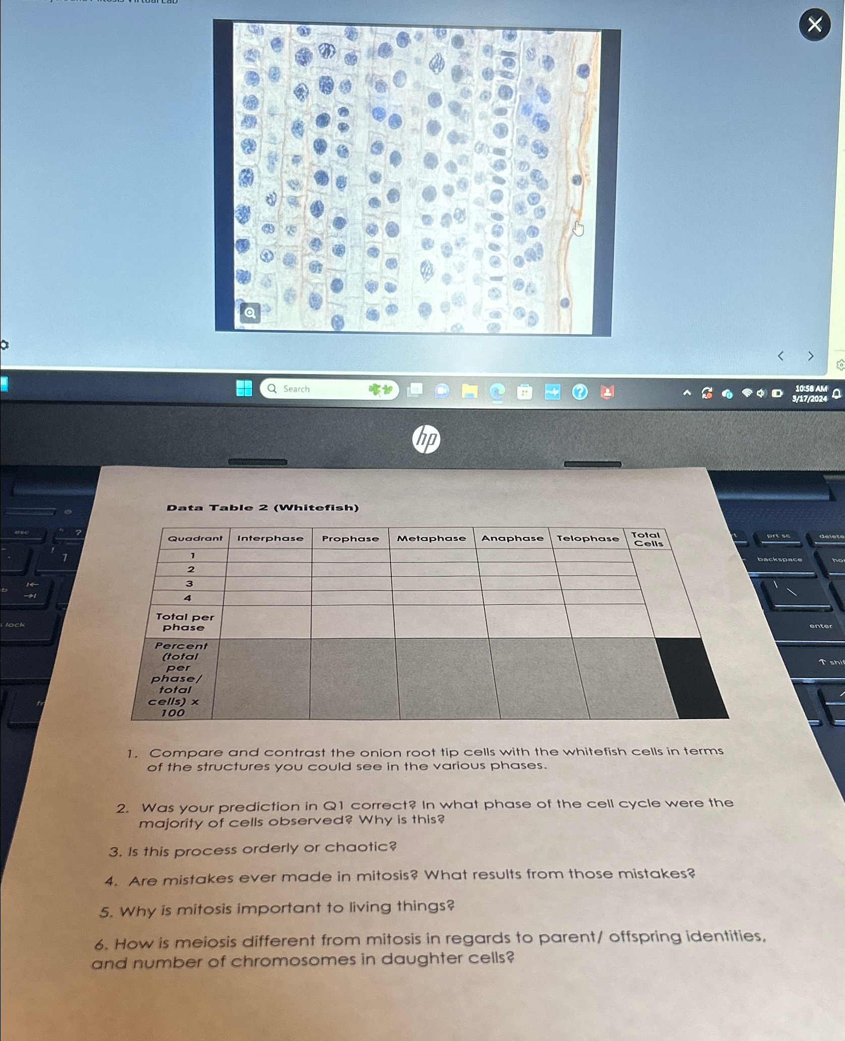 Solved Searchatำ(9)∞(4) 0thpData Table 2 (Whitefisin)Compare | Chegg.com