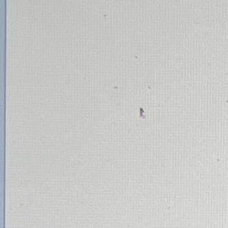 Pre-industrial cities differ from industrial cities | Chegg.com