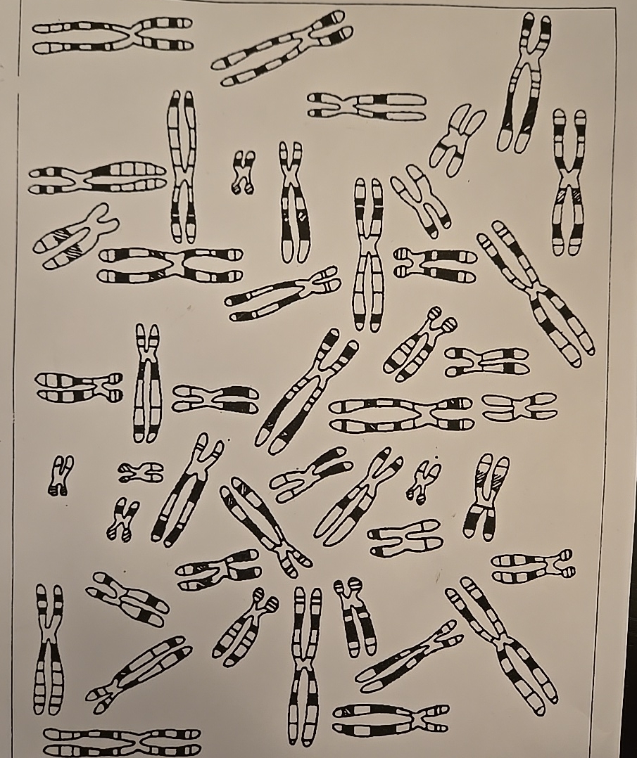Solved The assignment outlines the steps to create and | Chegg.com