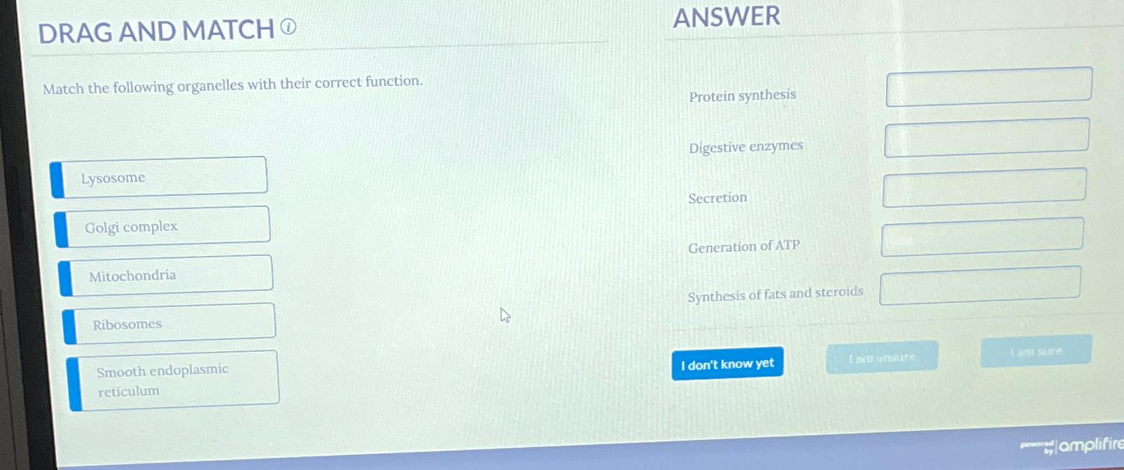 Solved DRAG AND MATCH (1)ANSWERMatch the following | Chegg.com
