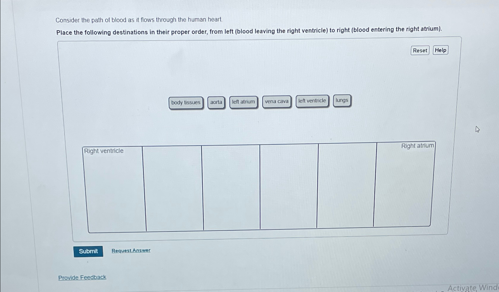 Solved Consider the path of blood as it flows through the | Chegg.com
