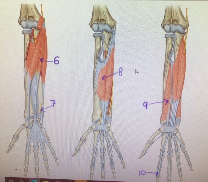Solved correctly and clearly label the diagrams, will upvote | Chegg.com