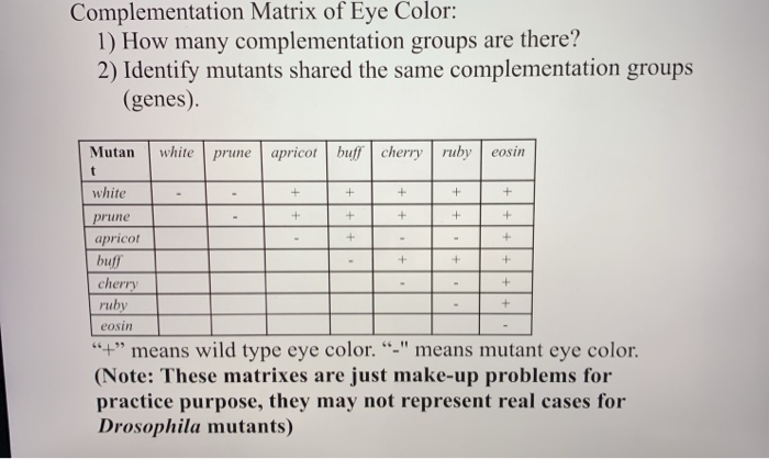 Solved Complementation Matrix of Eye Color: 1) How many | Chegg.com