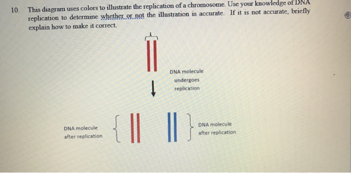 Solved © 10. This diagram uses colors to illustrate the | Chegg.com