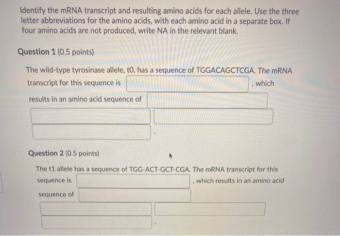 Solved Identify the mRNA transcript and resulting amino | Chegg.com