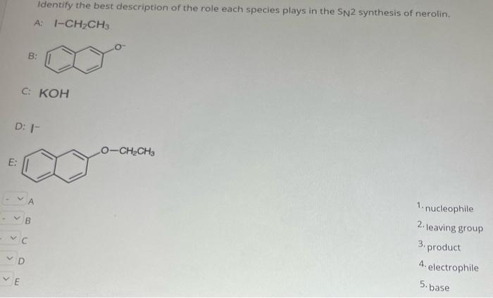 Solved Identify the best description of the role each | Chegg.com